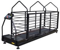China 200kgs Capacity Dog Runner Treadmill Pet Medical Equipment for sale