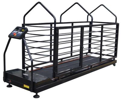 China 200kgs Capacity Dog Runner Treadmill Pet Medical Equipment for sale