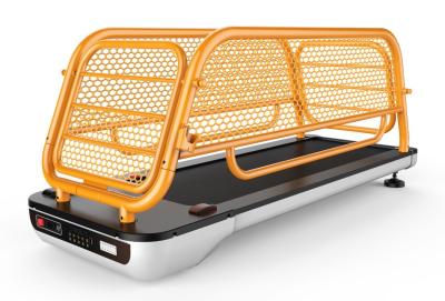 China Household Electric Dog Treadmill , Dog Running Machine for sale