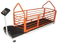 China SGS 12km/H Indoor Dog Treadmill , Dog On Running Machine for sale