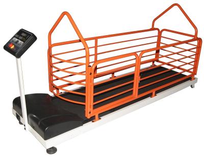 China SGS 12km/H Indoor Dog Treadmill , Dog On Running Machine for sale