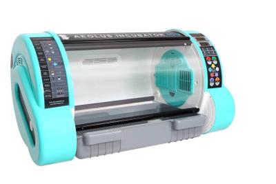 China Non Contamination Accurate Temperature Control Pet Brooder Icu Incubator for sale