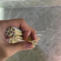 China Invisible Flush Mounted Door Frame Weather Stripping OEM for sale