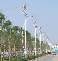 China Magnetically Levitated Wind Turbine 60W LED Wind Solar Hybrid Street Light System for sale