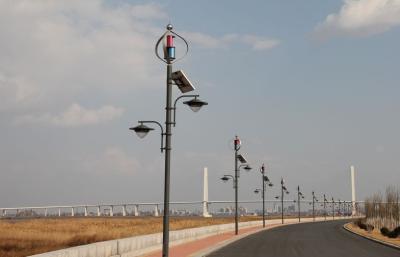 China Honor ECO Maglev Vertical Axis Wind Turbine 300W for Solar Wind Hybrid LED Street Light 60W for sale