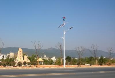 China Honor ECO 300W VAWT Maglev Wind Solar Hybrid Street Light System With Doulbe LED Lamps for sale