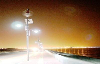 China Honor ECO Wind Solar Hybrid Street Light System Maglev Vertical Axis Wind Turbine 12V / 24V for sale