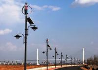 China Commercial Wind Turbine Maglev Wind Solar Hybrid System with Solar Panel 80W for sale