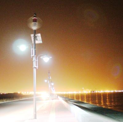 China LED Outdoor Solar Wind Street Lights Hybrid Solar 60W 70W 80W with Vertical/Horizontal Wind Turbine for sale