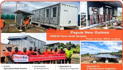 China Honor Eco 500kW Containerized Solar Power System | Off-Grid Solar Farm Solution for Papua New Guinea Farm Project for sale