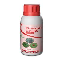 China Non - systemic Etoxazole 11%SC contact acaricide with effect on eggs, larvae , nymphs for sale