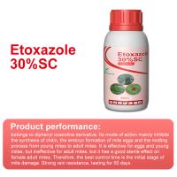 China Non - systemic Etoxazole 11%SC contact acaricide with effect on eggs, larvae , nymphs for sale