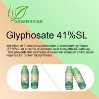 China Selective Herbicides Glyphosate 41%SL Weed Killer for sale