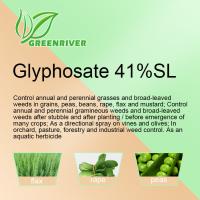 China Selective Herbicides Glyphosate 41%SL Weed Killer for sale