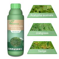 China Selective Herbicides Glyphosate 41%SL Weed Killer for sale