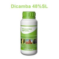 China Dicamba 48% SL Roundup Herbicide Kill Broad Keaved Weeds for sale