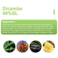 China Dicamba 48% SL Roundup Herbicide Kill Broad Keaved Weeds for sale