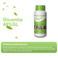 China Dicamba 48% SL Roundup Herbicide Kill Broad Keaved Weeds for sale