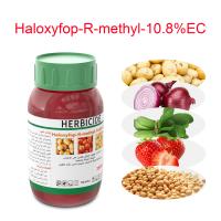 China Liquid Safe Herbicide Haloxyfop R Methyl Weed Killer For Vegetable Gardens for sale
