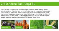 China Cas 94-75-7 2-4-D Amine salt Selective Herbicides For Onions , Weeds for sale