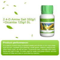 China Dicamba / Triasulfuron Selective Herbicides cas 1918-00-9 / 82097-50-5 for sale