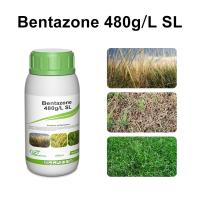China 48%SL Bentazone Selective Herbicides / 25057-89-0 contact herbicide for peanuts for sale