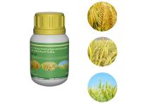 China Beta naphthoxyacetic acid NOA B-NOA Plant Growth Regulators CAS 120-23-0 for sale