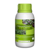 China 101200-48-0 Tribenuron Methyl Selective Herbicides For Maize , White powder for sale