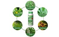 China Clear / amber liquid Selective Herbicides Clethodim 24%EC for soya beans , flax for sale