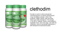 China Clear / amber liquid Selective Herbicides Clethodim 24%EC for soya beans , flax for sale