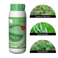 China Clear / amber liquid Selective Herbicides Clethodim 24%EC for soya beans , flax for sale