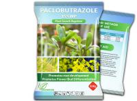 China Professional Paclobutrazol Plant Growth Stimulator cas 76738-62-0 for sale