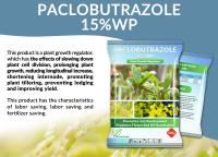 China Professional Paclobutrazol Plant Growth Stimulator cas 76738-62-0 for sale