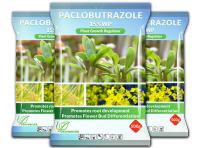 China Professional Paclobutrazol Plant Growth Stimulator cas 76738-62-0 for sale