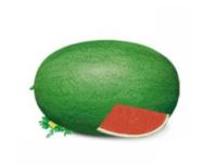 China Light green rind Organic Watermelon Seeds with netted stripes for sale