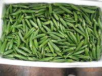 China Yellow Okra seeds / ladies finger seeds with FDA Certificate for sale