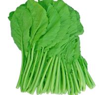 China Light Green Early Small Leaf Mustard Seeds Germination 85 % for sale