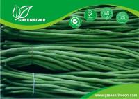 China Commercial Green Organic yard long bean seeds with thick flesh for sale