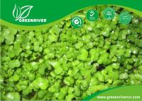 China organnic Radish sprouts seeds with ISO9001-2000 approvals , Green Black Yellow for sale
