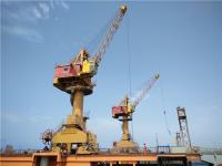 China Floating Dock Crane For Ship Repair 35T Load Capacity Customized Design for sale