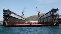 China Rail Mounted Floating Dock Crane With Customized Color And Load Capacity for sale