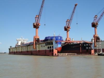 China 50t Floating Dock Crane With 30m Lifting Height Color Customized for sale