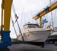 China Wireless Remote Marine Hoist Crane 5m/Min Customized for sale