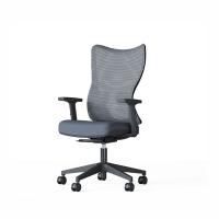 China Office Furniture Luxury Lumbar Back Support Ergonomic Executive Swivel Computer Desk Mid-back Chairs for sale