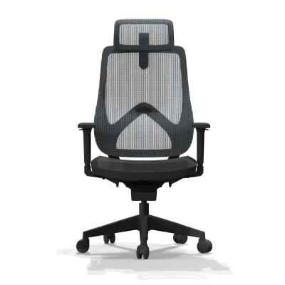 China Foshan Adjustable Luxury Office Mesh Swivel High Back Ergonomic Chair 101A 3D Armrest for sale