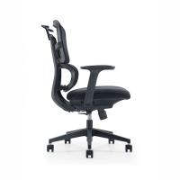 China Revolutionary Ergonomic Mesh Office Chair with Adjustable Armrest and Swivel Function for sale