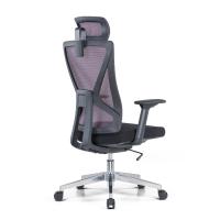 China Modern Design Executive Mesh Chair with 3D Adjustable Swivel Headrest BIFMA Certified for sale