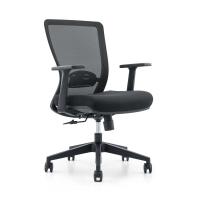 China Executive Mesh Swivel Office Chair Furniture 650*690*1010-1100mm for Modern Ergonomic for sale