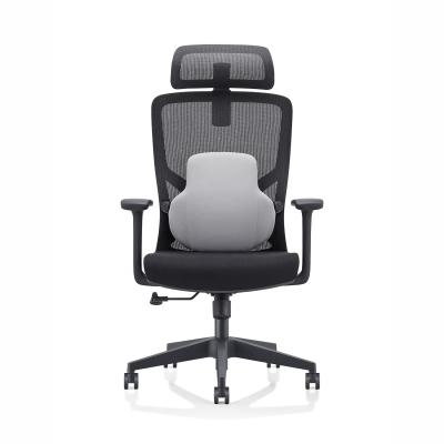 China Self-Loading Mechanism High Back Mesh Ergonomic Chair for Comfortable Office Work for sale