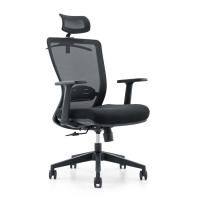 China 650*690*1150-1250mm Adjustable Luxury Office Chair with Mesh Fabric and Fixed Armrest for sale